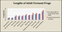 Frog-Lengths | Vermont Reptile and Amphibian Atlas