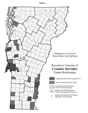Crotalus horridus – Timber Rattlesnake | Vermont Reptile and Amphibian ...
