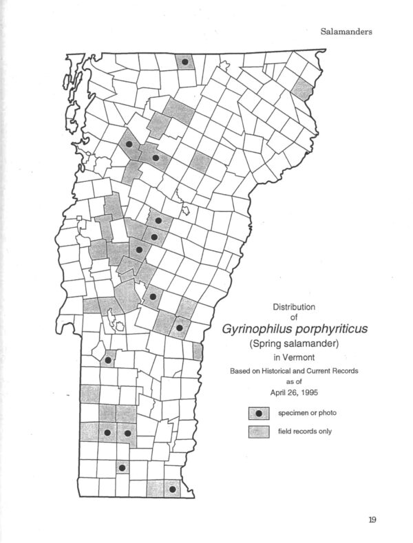Distribution of Spring Salamanders, 1995 map | Vermont Reptile and ...
